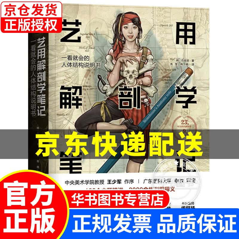艺用解剖学笔记 石政贤,高莹韩晓 译 北京科学技术出版社