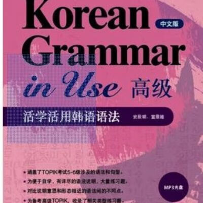 Korean Grammar in Use - Advanced 活学活用韩语高级 Korean Grammar in Use 高級(