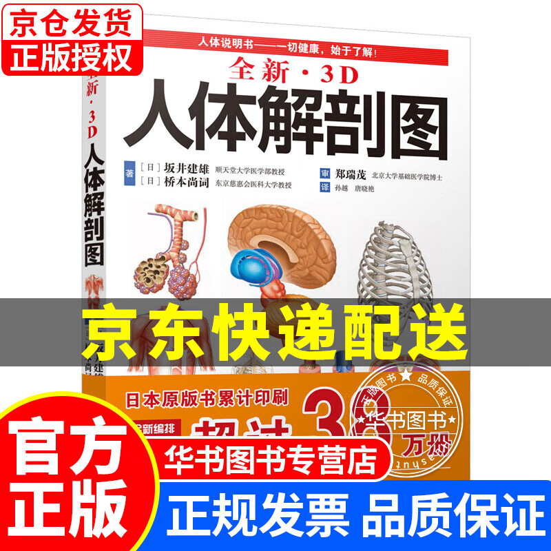 全新3D人体解剖图 全新3D人体解剖图
