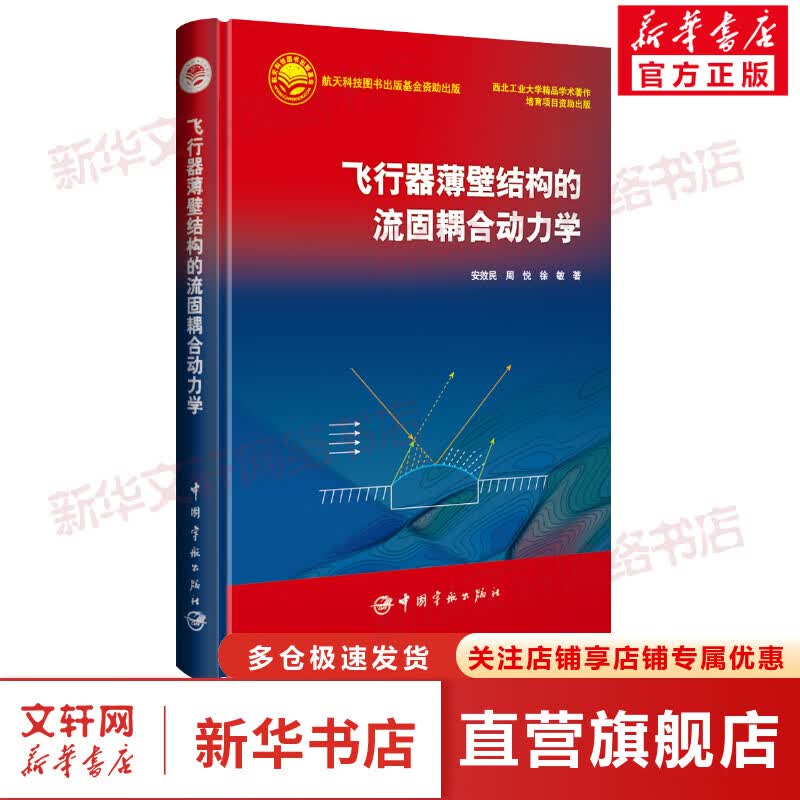 飞行器薄壁结构的流固耦合动力学 图书
