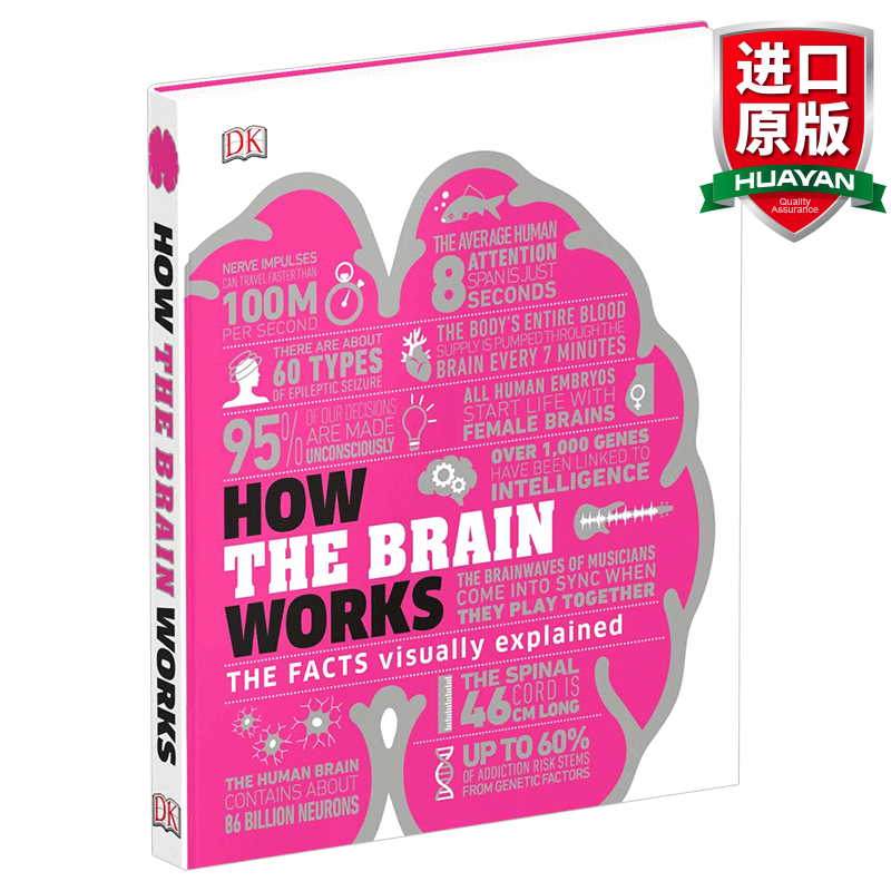 英文原版 DK科普 大脑运作百科 DK How the Brain Works 全英文版