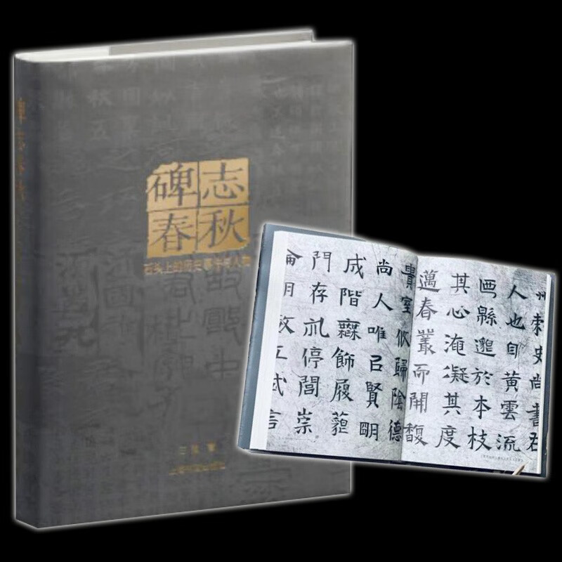 【普通本】碑志春秋：石头上的历史事件与人物 王强 著 上海书画出版社