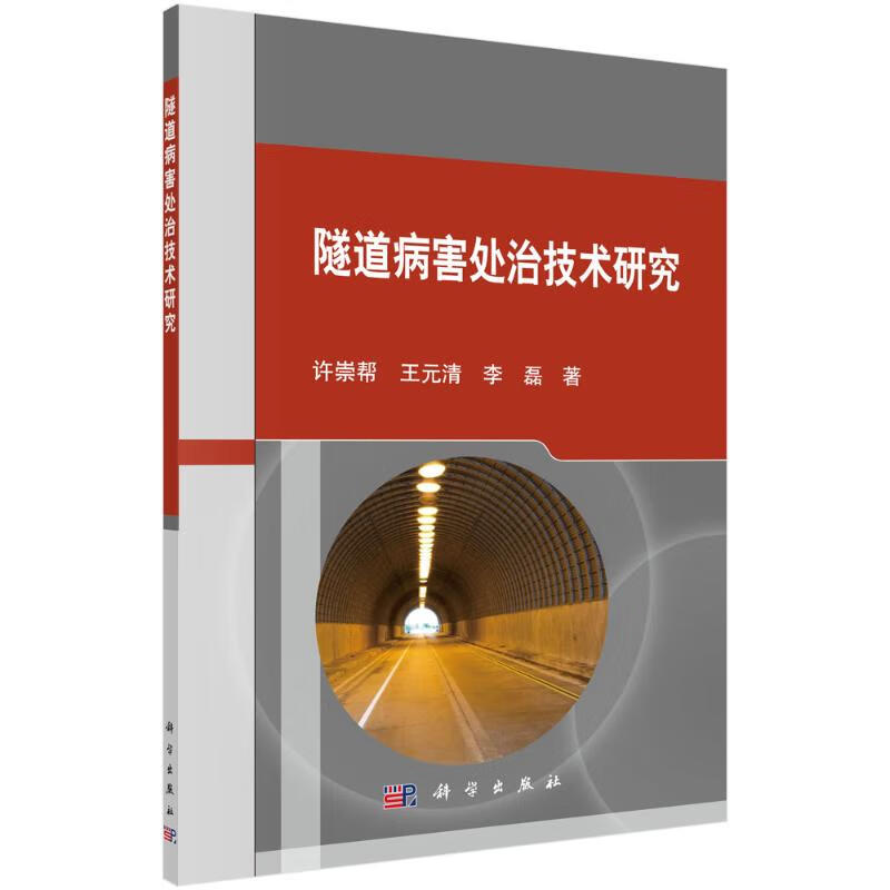 隧道病害处治技术研究 图书