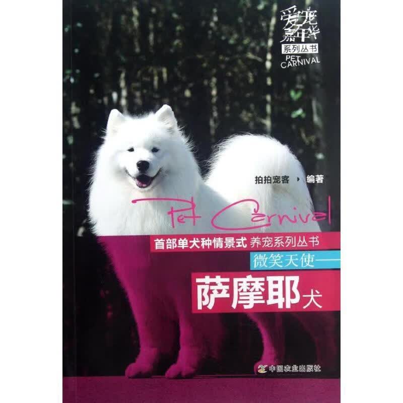 微笑天使 萨摩耶犬 拍拍宠客