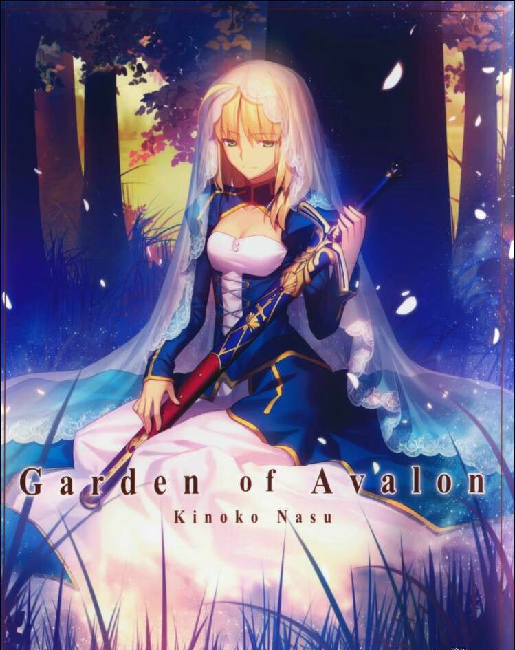 Garden of Avalon Fate外传 阿瓦隆之庭 小说 第1册完结中文 册完结中文