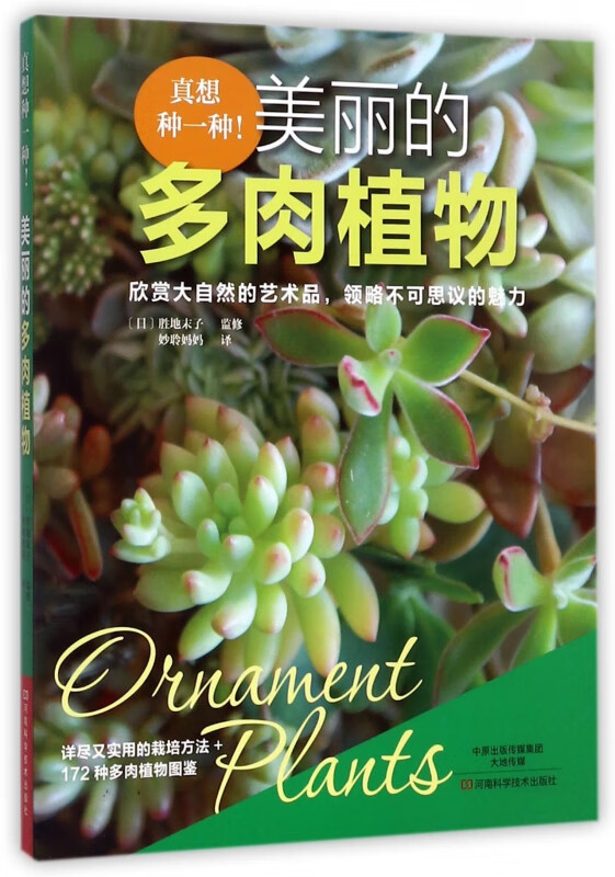 真想种一种美丽的多肉植物