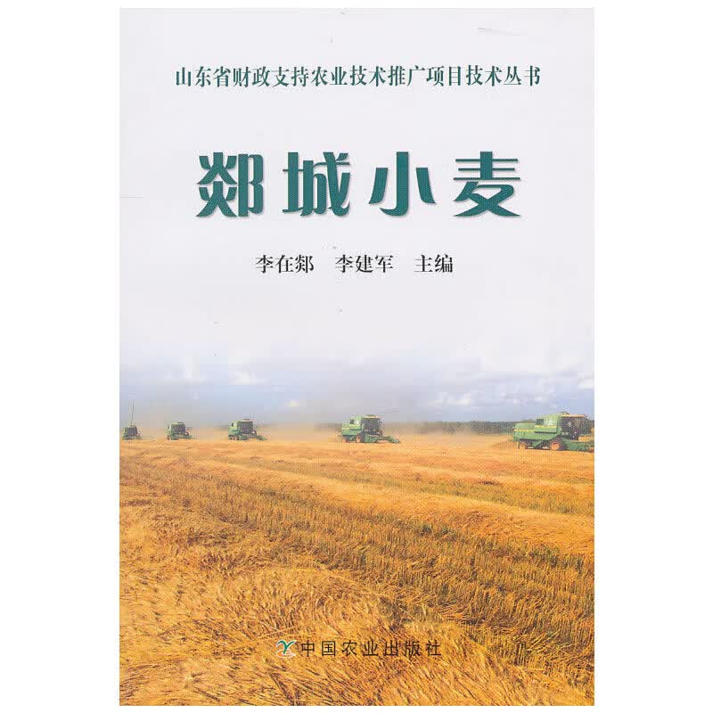 郯城小麦