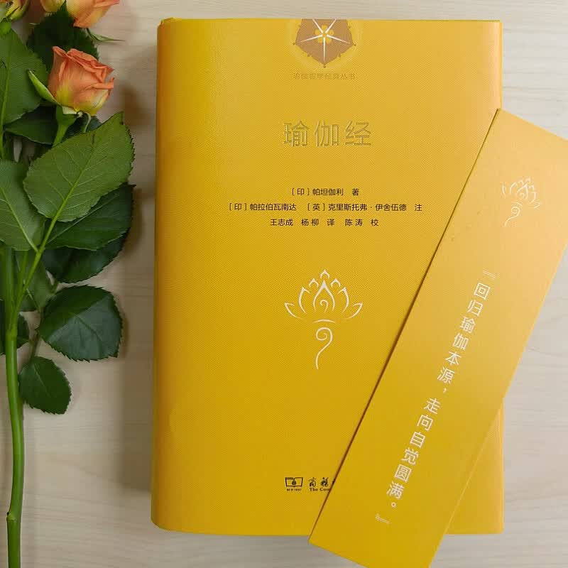 瑜伽经 图书