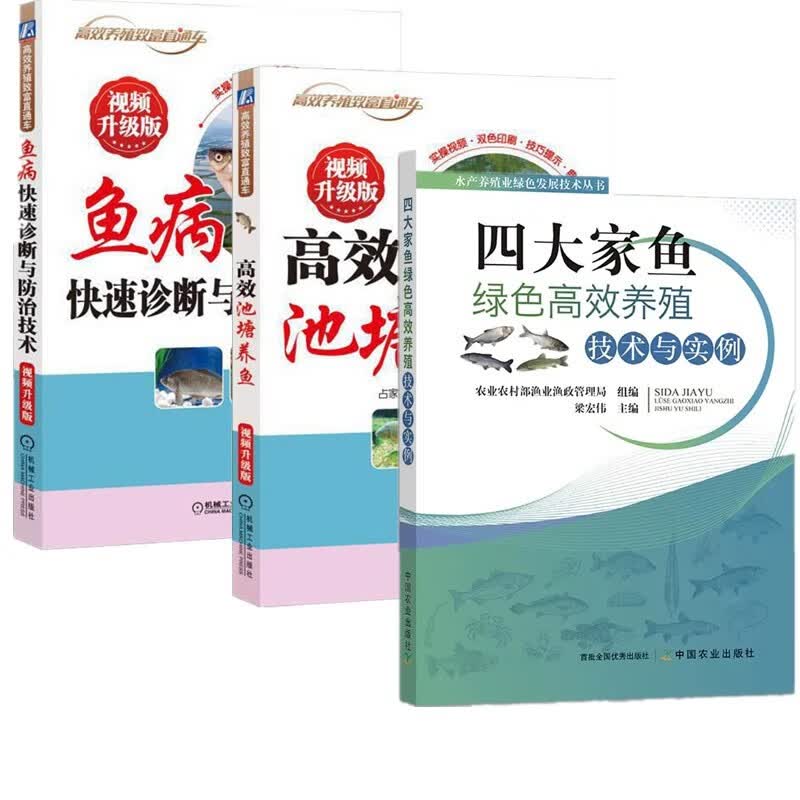 四大家鱼绿色高效养殖技术与实例+高效池塘养鱼+鱼病快速诊断与防治 养鱼书籍技术 大全一本通 草鱼养鱼书 养鱼新技术书高效池塘养鱼水产品鱼类书