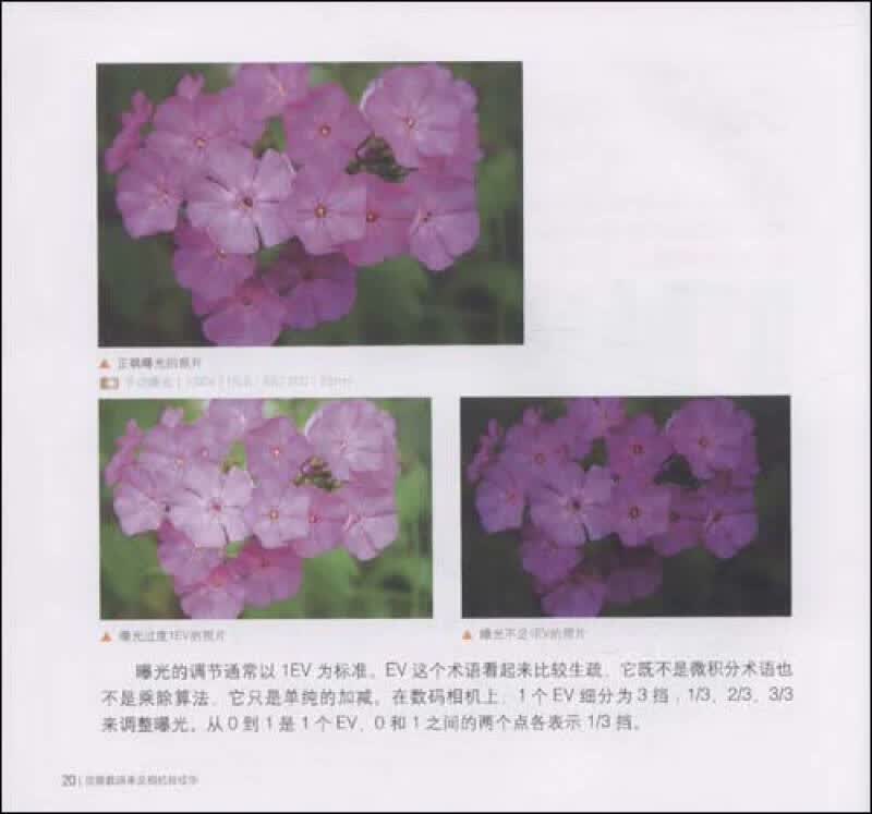 佳能数码单反相机DSLR轻松学【好书】
