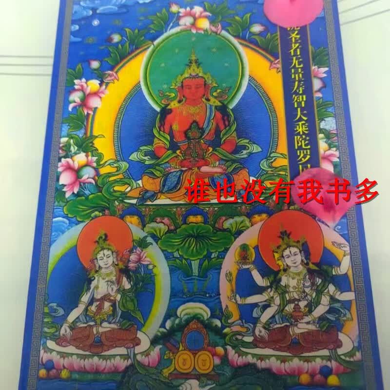 佛说圣者无量寿智大乘陀罗尼经32开寺院 开寺院