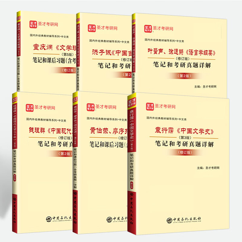 2024汉语言文学考研教材笔记辅导洪子诚钱理群现当代袁行霈中国文学史童庆炳文学理论教程叶蜚声语言学纲 汉语言文学考研笔记全套6本