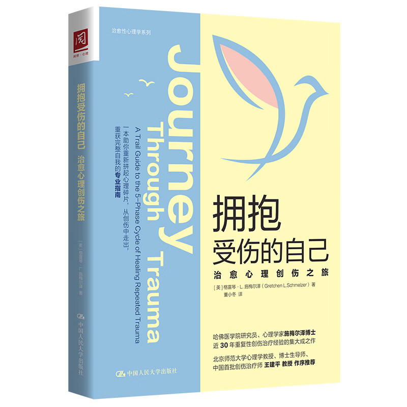 拥抱受伤的自己：治愈心理创伤之旅 中国人民大学出版社 9787300281476 【美】格雷琴·L.