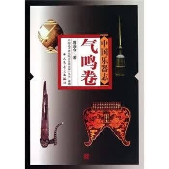 中国乐器志 曾遂今 著