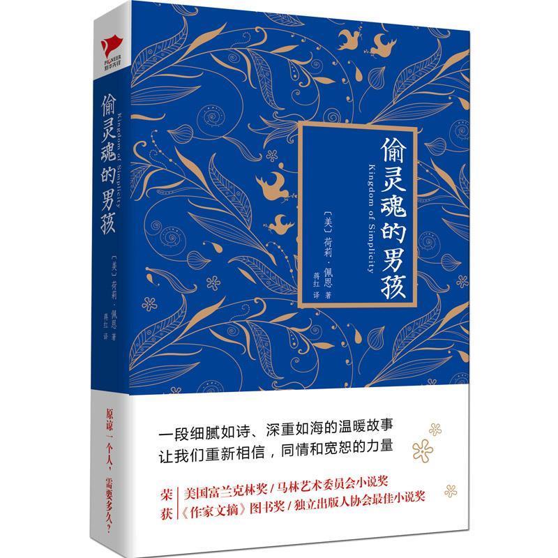 偷灵魂的男孩 (美)佩恩 著,蒋红 译 北京联合出版公司