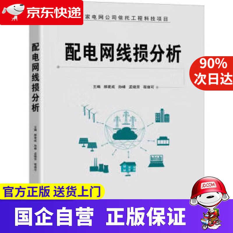 配电网线损分析 郝建成 9787111704157 机械工业出版社