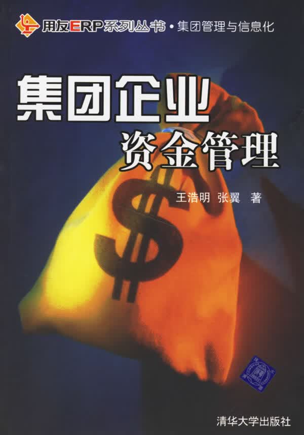 集团企业资金管理