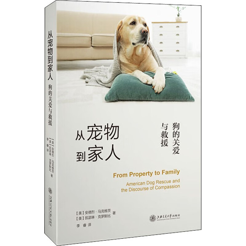 从宠物到家人 狗的关爱与救援