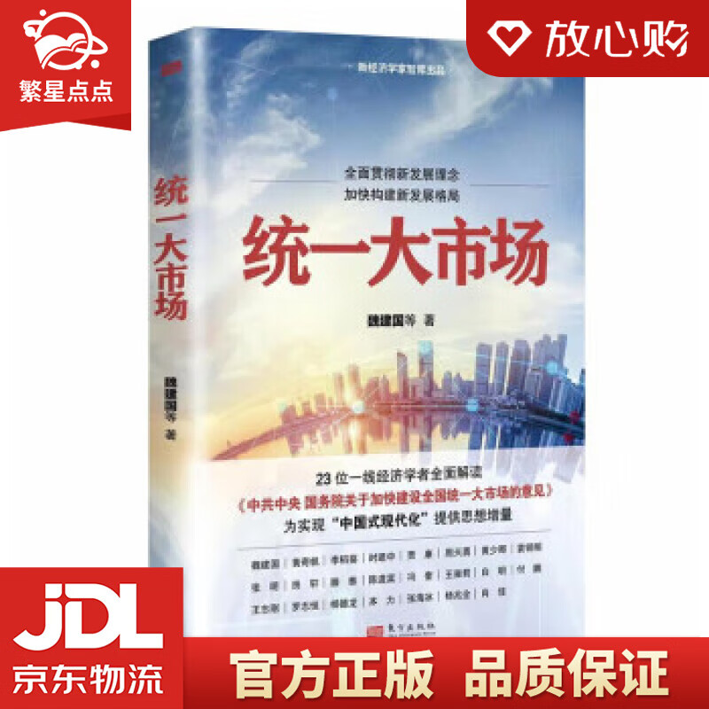 统一大市场 魏建国 东方出版社