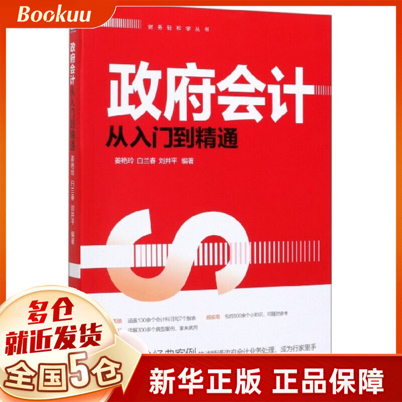 政府会计从入门到精通/财务轻松学丛书