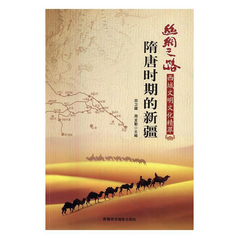 隋唐时期的新疆 薛宗正 著