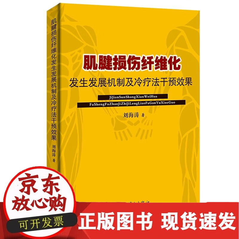 C 肌腱损伤纤维化发生发展机制及冷疗法干预效果