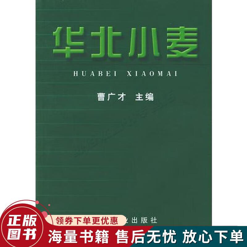 华北小麦
