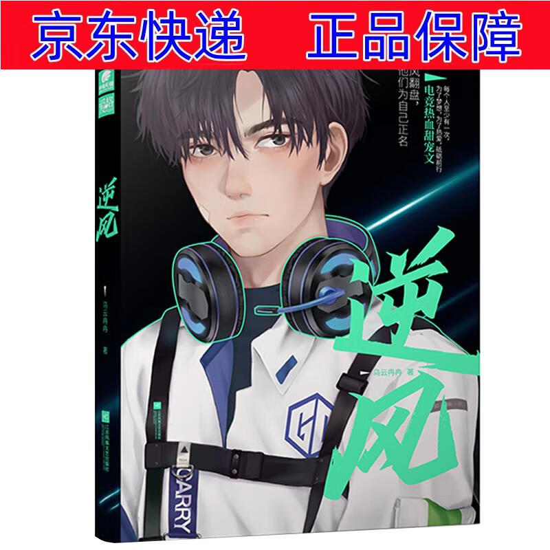 逆风 青春文学 热血成长类书籍