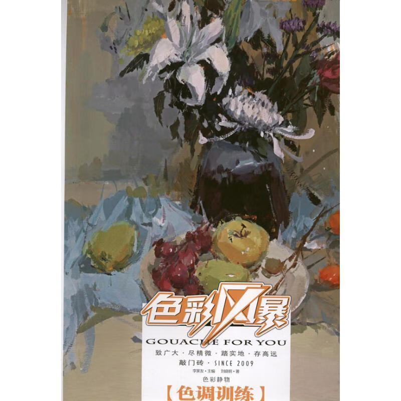 色彩风暴 色调训练