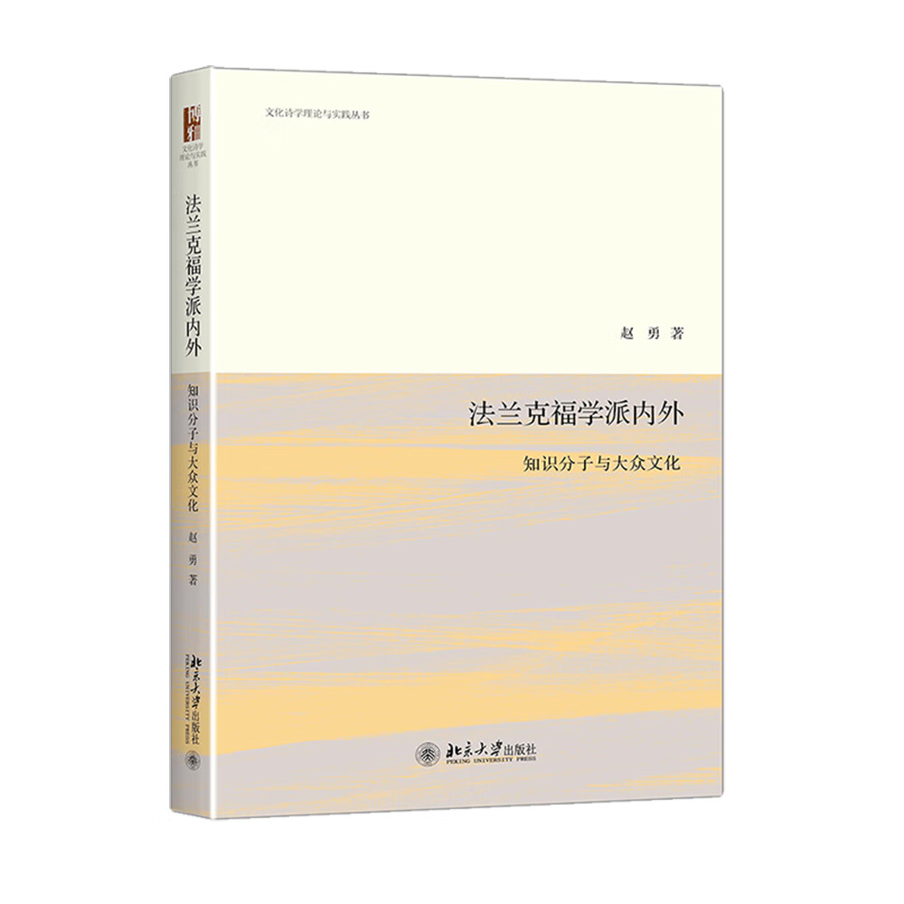 法兰克福学派内外 知识分子与大众文化
