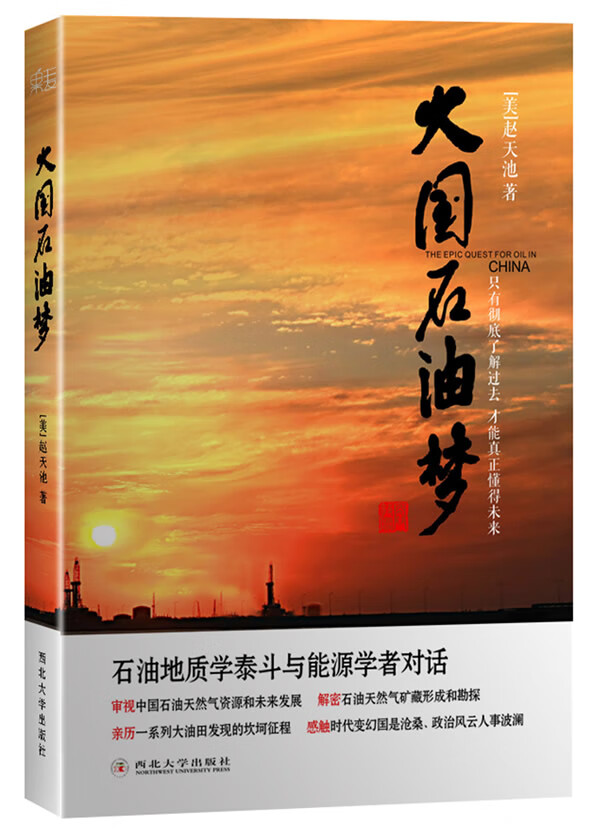大国石油梦 赵天池 著【书】