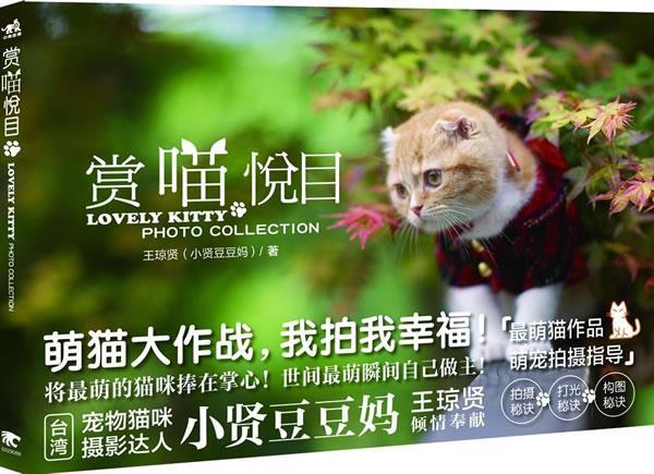 赏喵悦目 王琼贤【书】
