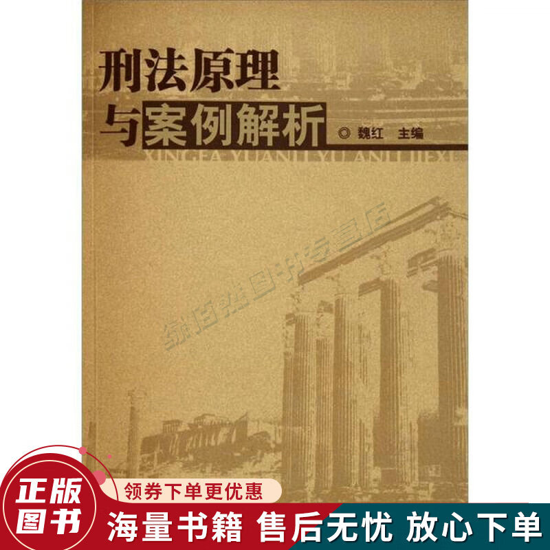 刑法原理与案例解析