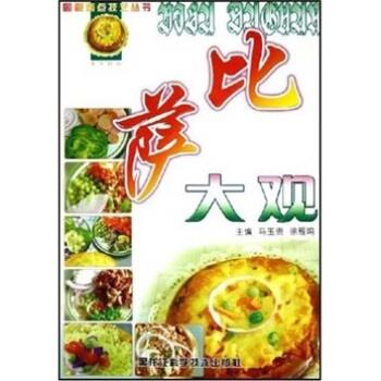比萨大观 马玉贵,徐雁鸣 著