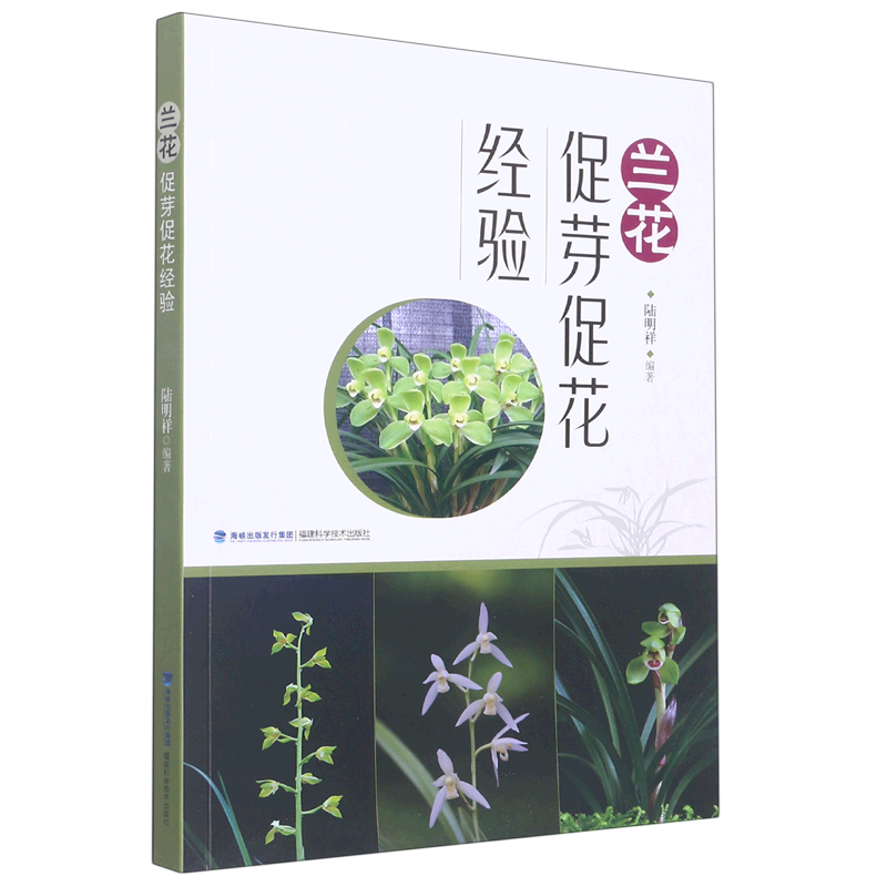 兰花促芽促花经验