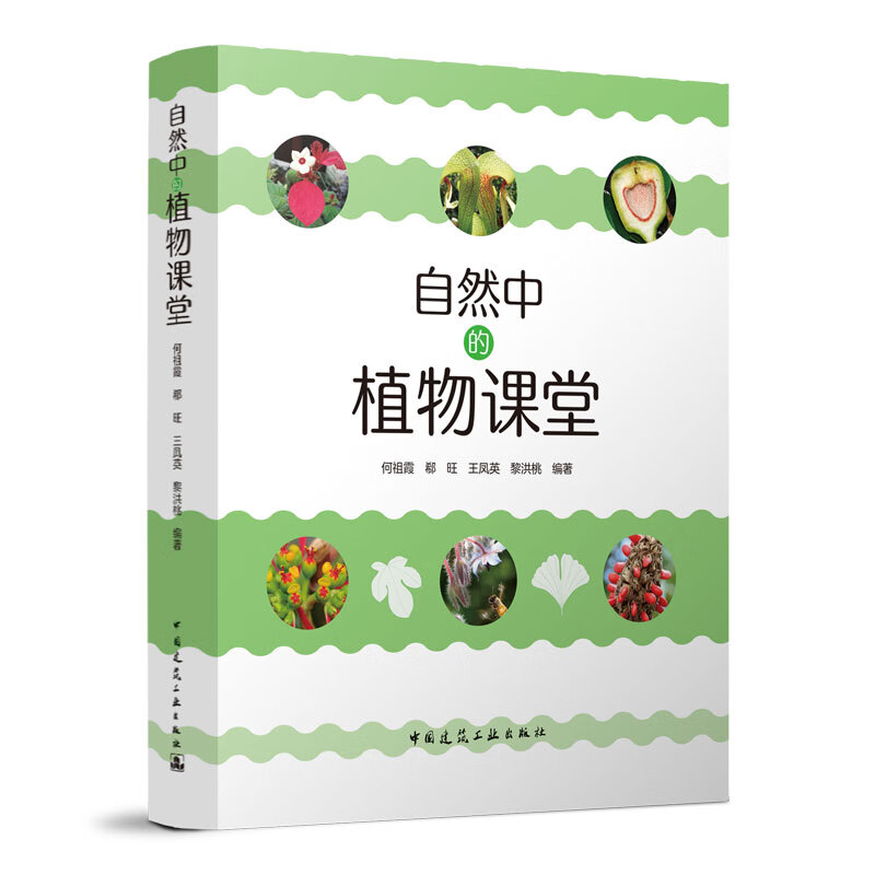 自然中的植物课堂