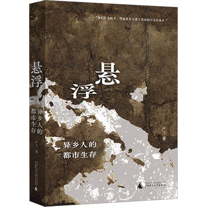 悬浮 异乡人的都市生存 严飞 书籍 图书