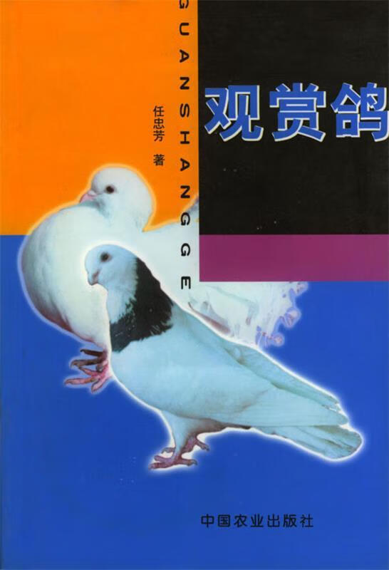 观赏鸽【好书，下单速发】