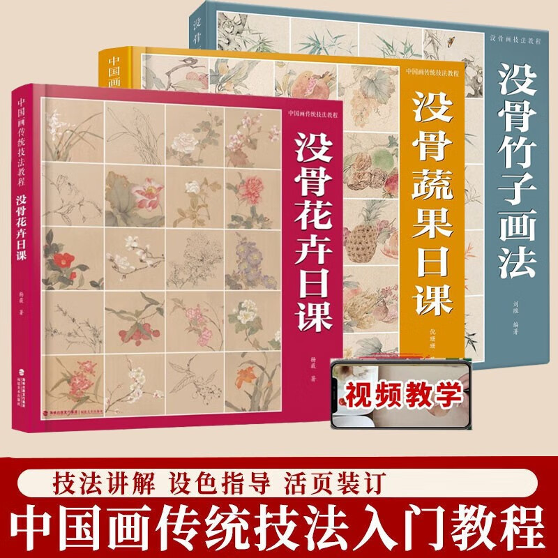 中国画传统技法教程【多规格】写意花鸟画日课+山水画日课+青绿山水画日课+没骨蔬果日课+没骨花卉日课+没骨竹子 国画山水画 没骨花卉+没骨蔬果+没骨竹子 3册