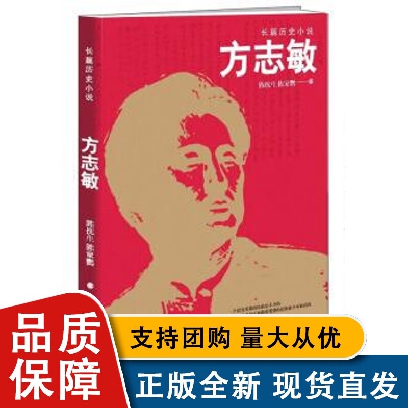 方志敏（长篇历史小说）