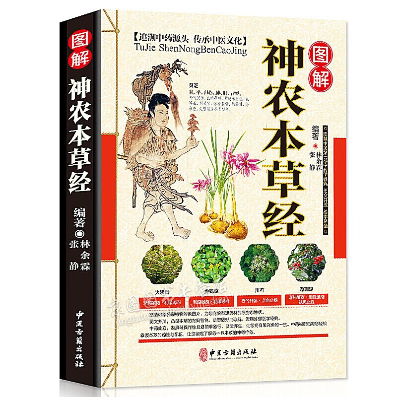 图解神农本草经 彩色图解版医学类书籍医书中医调理中草药大全书古方养生宝典家庭保健中医养生书籍