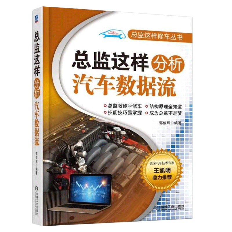 总监这样分析汽车数据流 郭俊辉 著