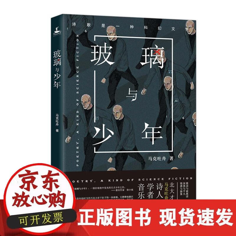 【现货】玻璃与少年