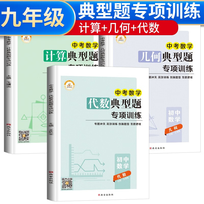 套装3册 典型题专项训练九年级全套 初中九年级计算+代数+几何初中数学专项训练题型 中考必备复习资料数学思维训练举一反三专项训练书
