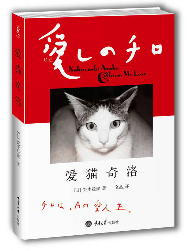 【书】爱猫奇洛9787562473442