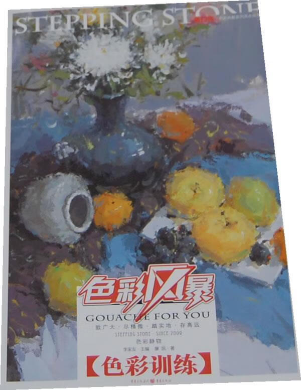敲门砖:色彩风暴·色彩静物色彩训练