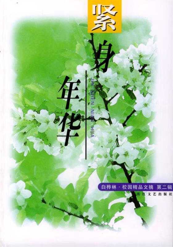 紧身年华 陈芳