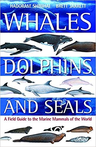 Whales, Dolphins and Seals