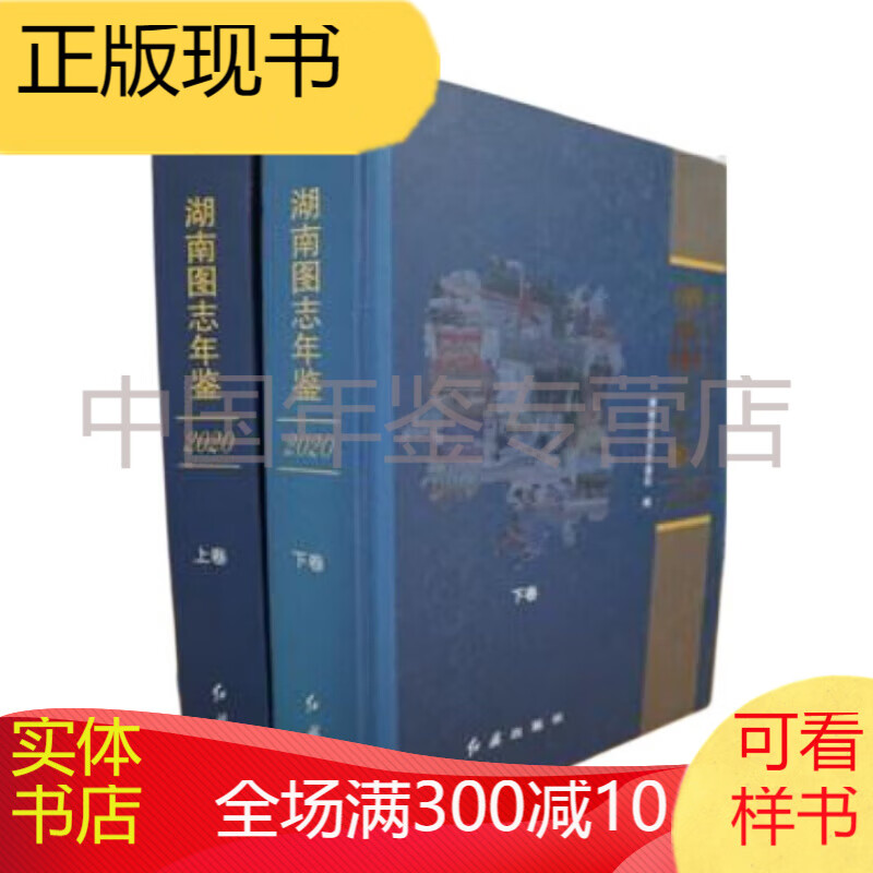 湖南图志年鉴2020 上下卷