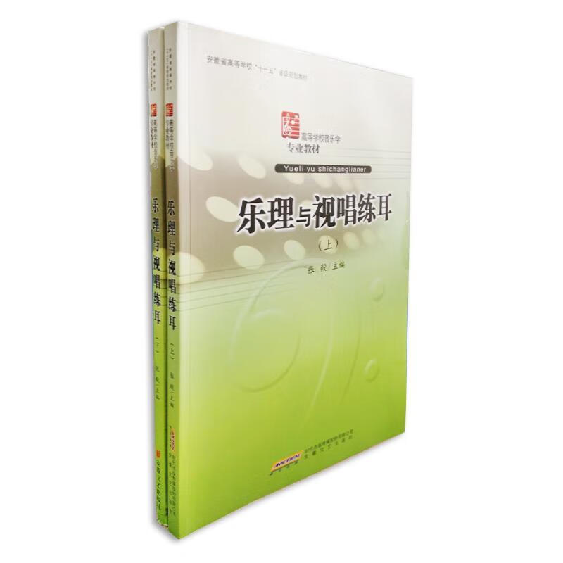 乐理与视唱练耳 9787539632360